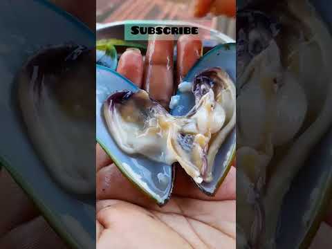 Simple way of cleaning Goan Mussel/ #shorts #seafood