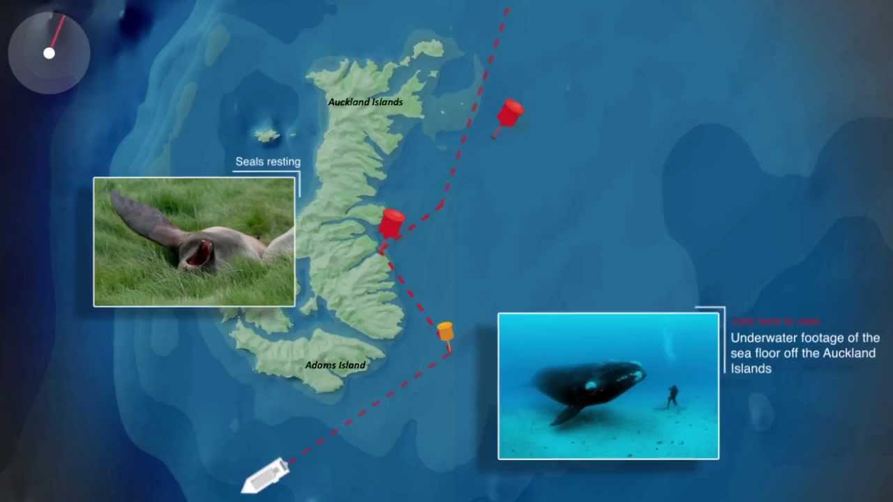 A map for every story.