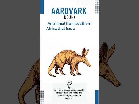 Aardvark | Oxford English Vocabulary