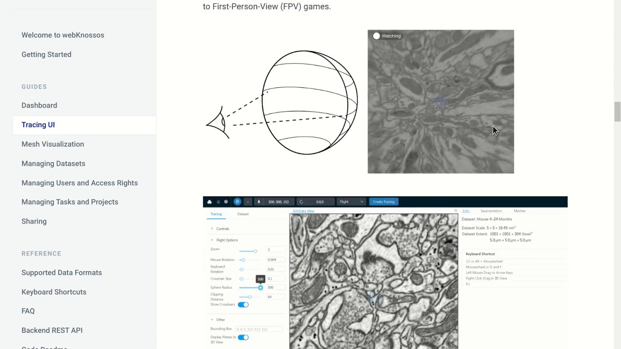 webKnossos: Usage Documentation