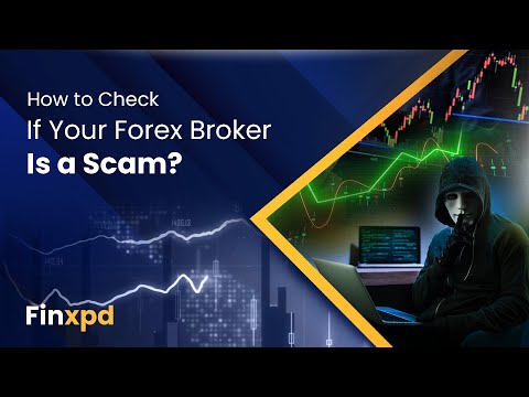 How to Check If Your Forex Broker Is a Scam?