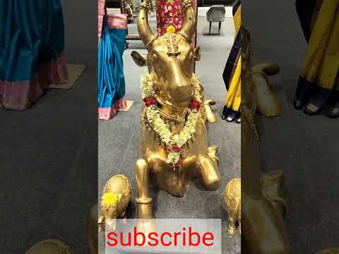 Saree shop #shortfeed #shorts_2023 #youtubeshorts #sursangamrajnimishra