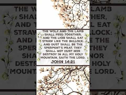 I Cannot Wait For The New Earth! Isaiah 65:25 #bible #scripture #god