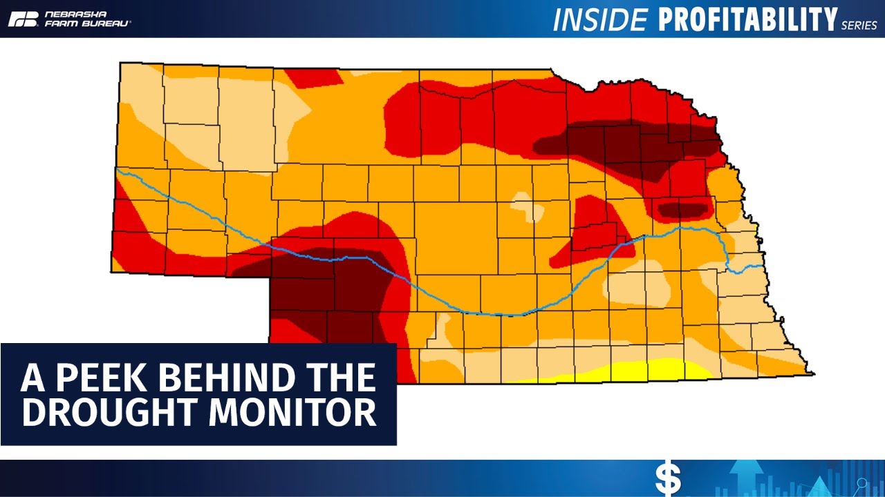 Inside Profitability: A Peek Behind the Drought Monitor