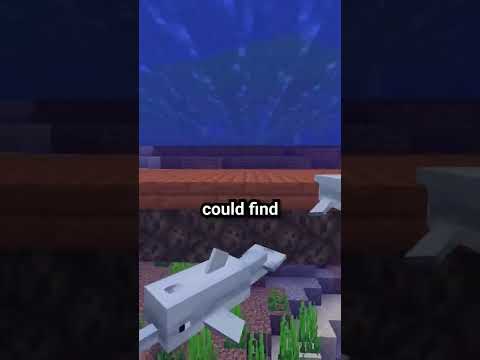 The FASTEST Way To Travel In Minecraft | Badlion Client