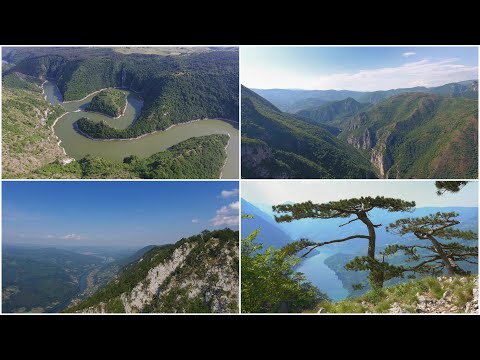 Da li ćete letovati u Srbiji?