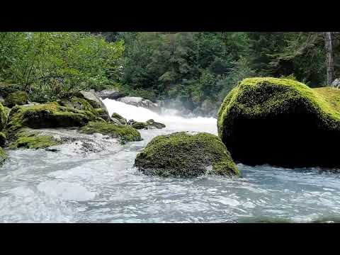 Climate Change: Threats to Aquatic Ecosystems