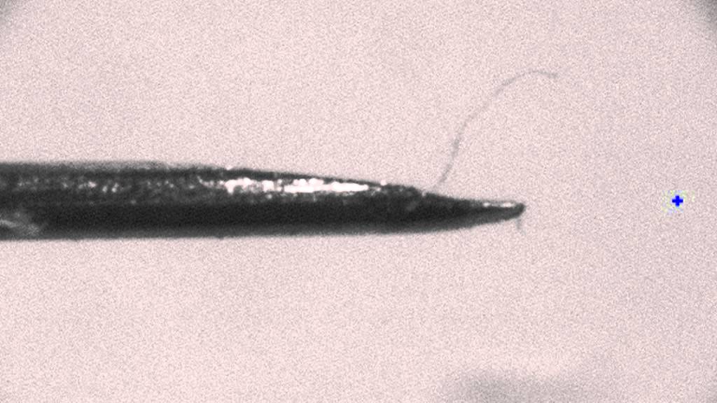 Micro-robot tip under a microscope