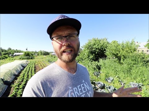 New developments at this incredible organic farm
