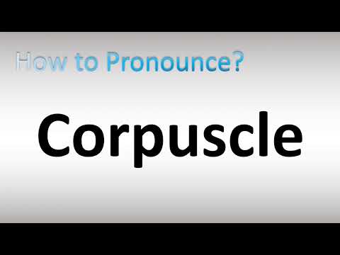 How to Pronounce Corpuscle