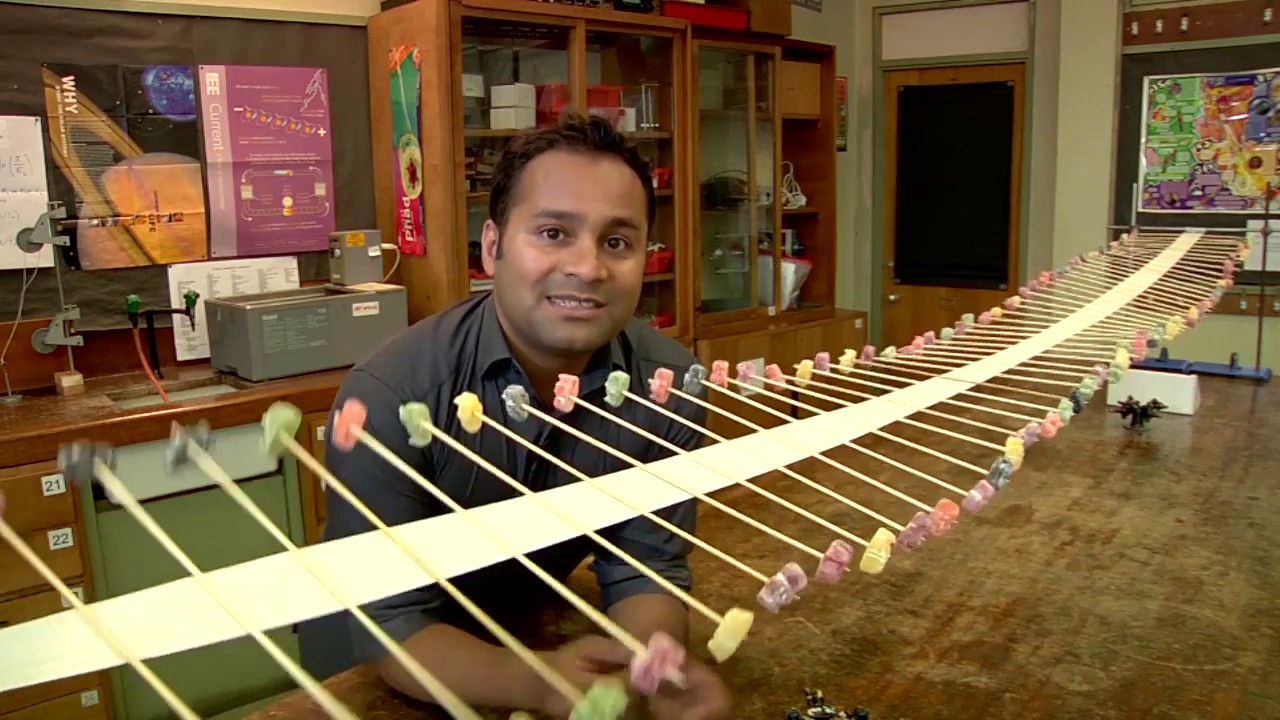 A simple wave machine