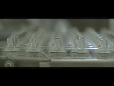 Vinolok - Production