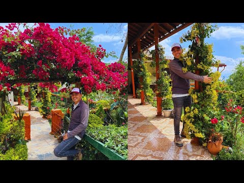 El jardín de Lucila y su hija Amparo, hermoso lugar en Montebello Colombia |AP