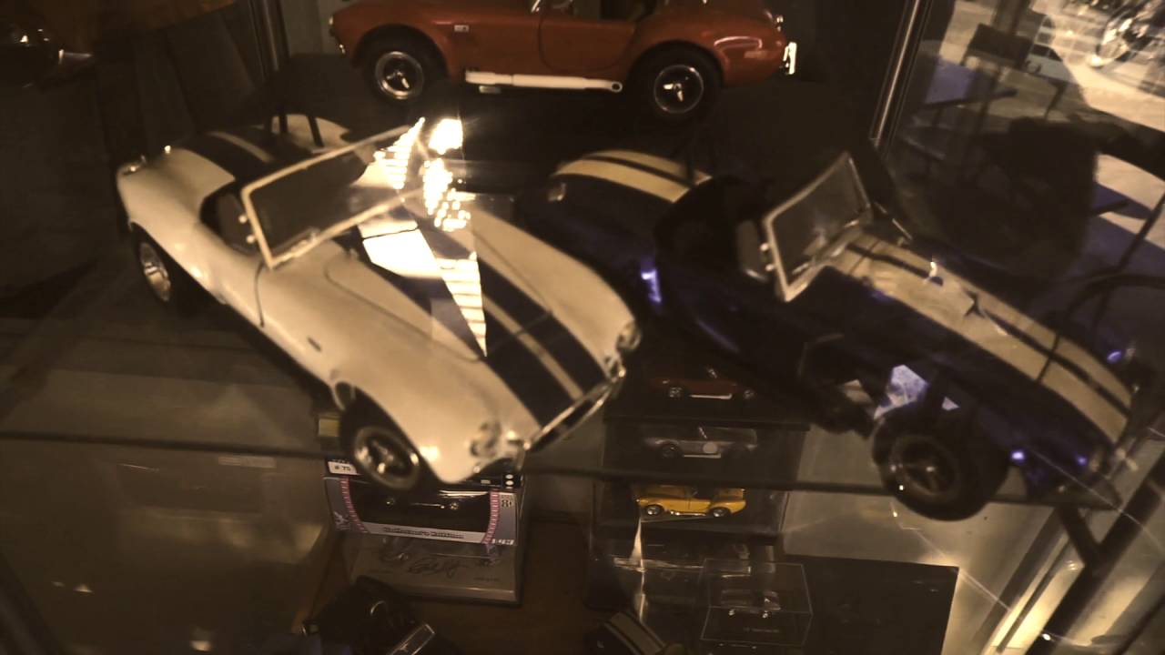 Python Vehicles Shop Tour!