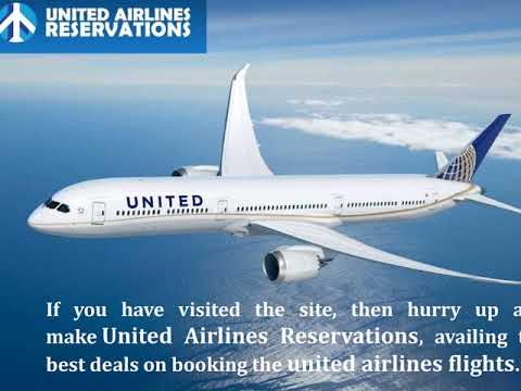 United Airlines Reservations | United Airlines Flights 1-866-491-3099