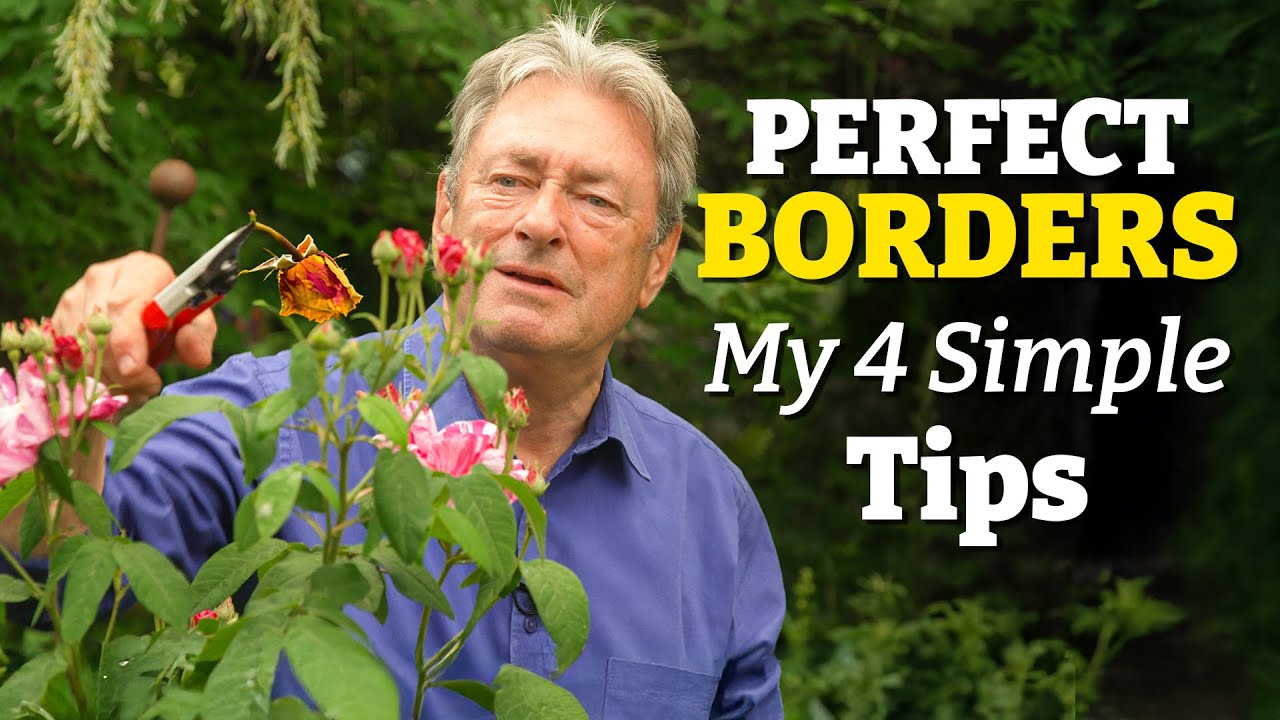 My 4 Steps to Better Flower Borders: Deadheading, Weeding & Plant Support Tips
