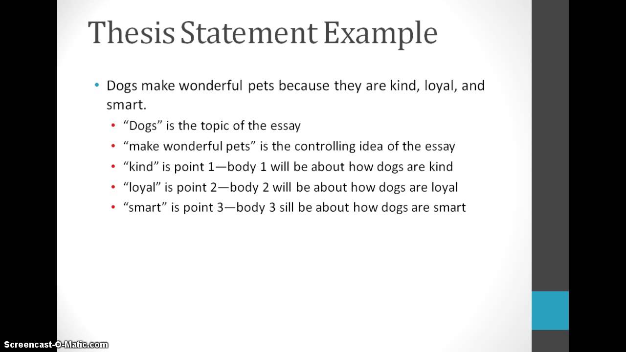 Basic Essay Structure 0091
