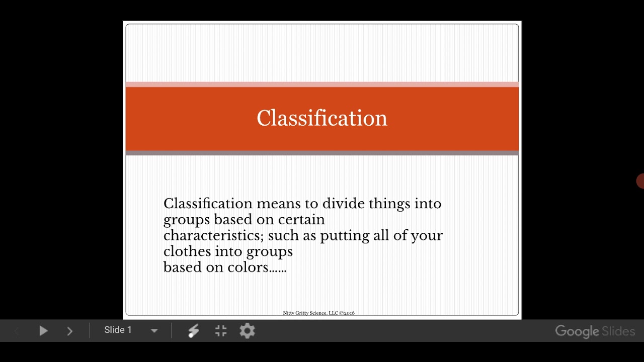 Classification PowerPoint # 1 Read-Aloud