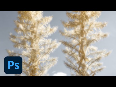 Explore Different Artistic Filters in Photoshop CC | Adobe Photoshop