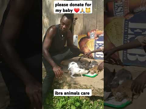 we have a link in our Bio even a dollar makes a difference thank you for your kindness #straycats