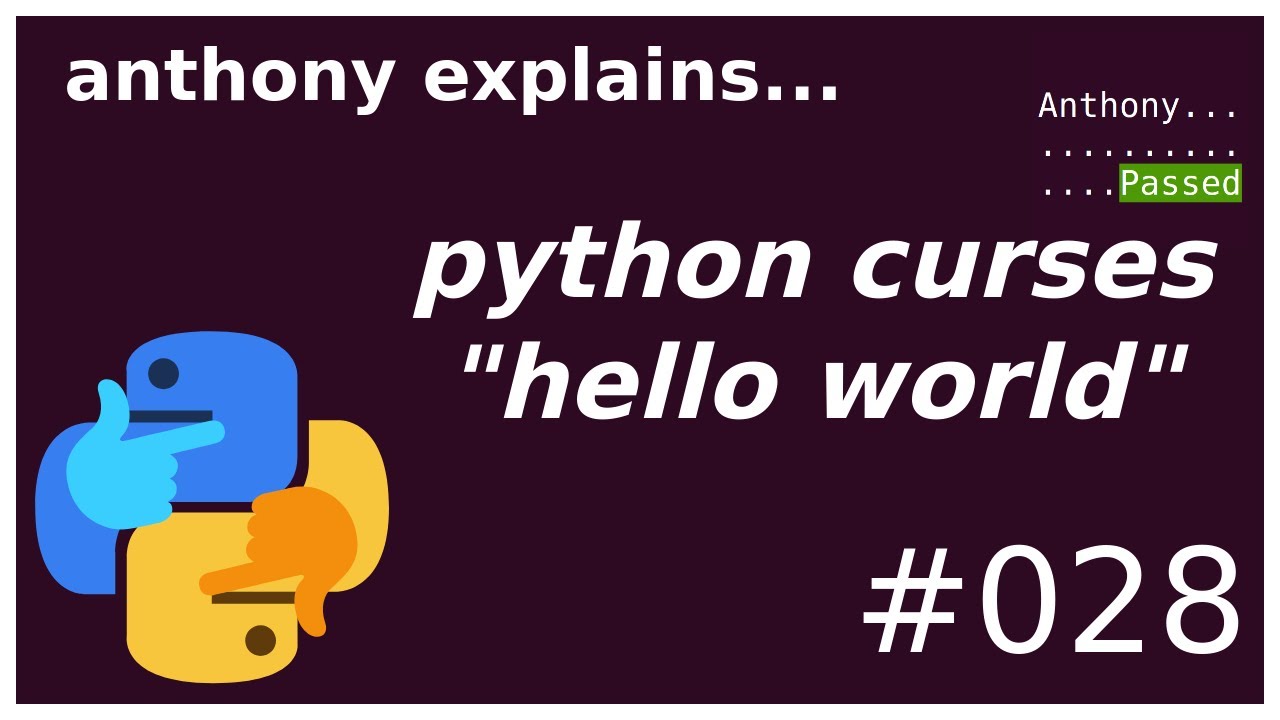 python curses 