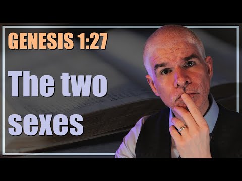 God made male and female – Genesis 1:27 | 2-minute daily bible ...