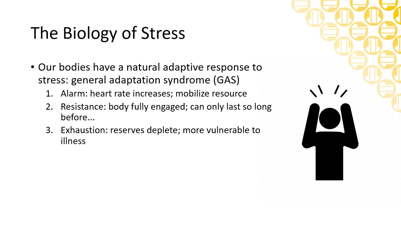 Stress PowerPoint