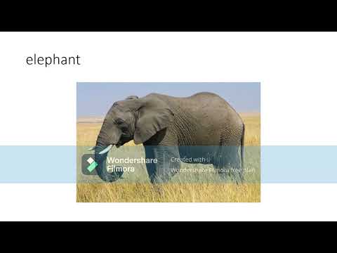 Picture Dictionary Words Start With Letter E