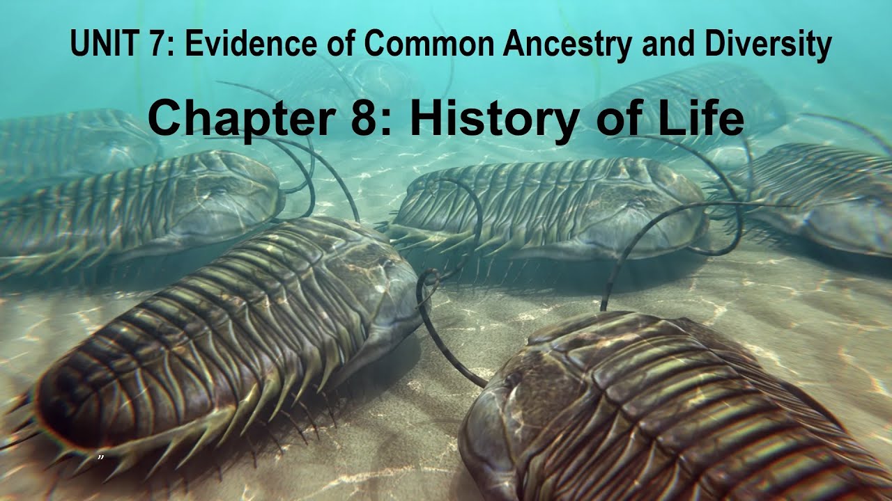 PowerPoint Lecture Unit 7 (Chapter 8 - History of Life)