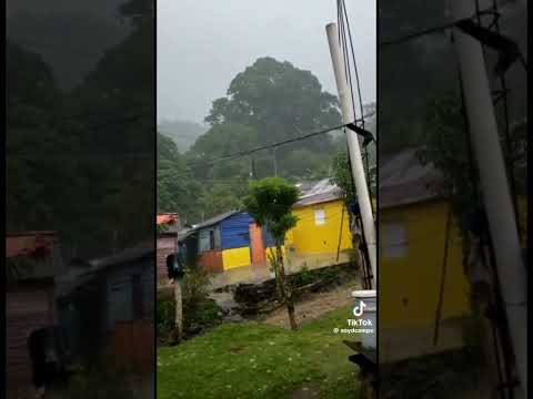 Snowing clarendon jamaica I canβt believe we getting snow#snow#jaishreeram #uk #usa #canada #shorts