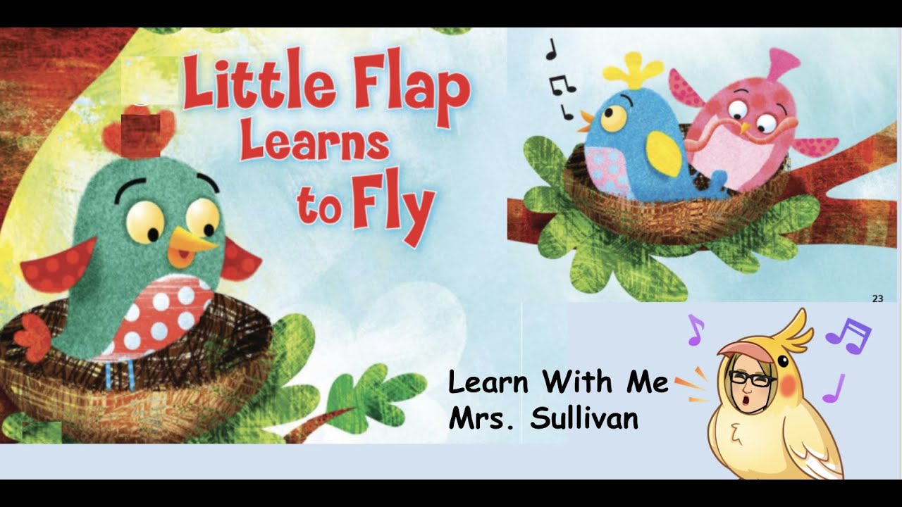 Little Flap Learns to Fly read aloud