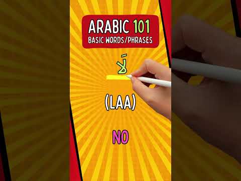 Arabic 101: Basic Words & Phrases! #arabic #learnarabic #arabiclanguage #arabic101 #arabicwords