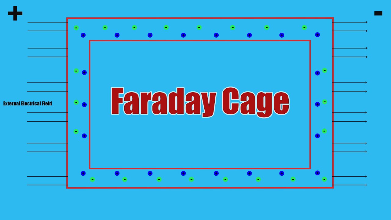 Faraday Cage Explained – Block Signals with Physics