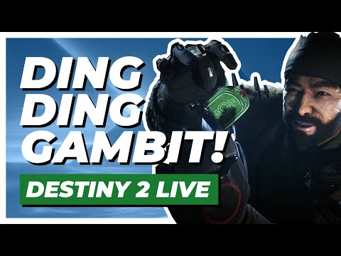 Steam Community :: Video :: DING! DING! GAMBIT! | Destiny 2 Livestream
