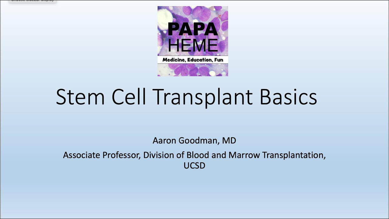 Stem Cell Transplant Basics