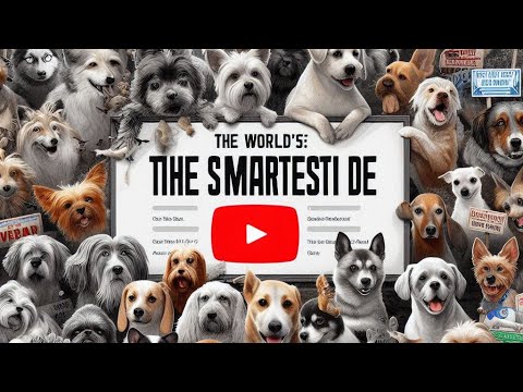 The world's smartest dogs: which breeds top the list?