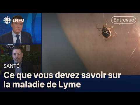 Une nouvelle chaire sur la maladie de Lyme : entrevue avec le Dr Alex Carignan