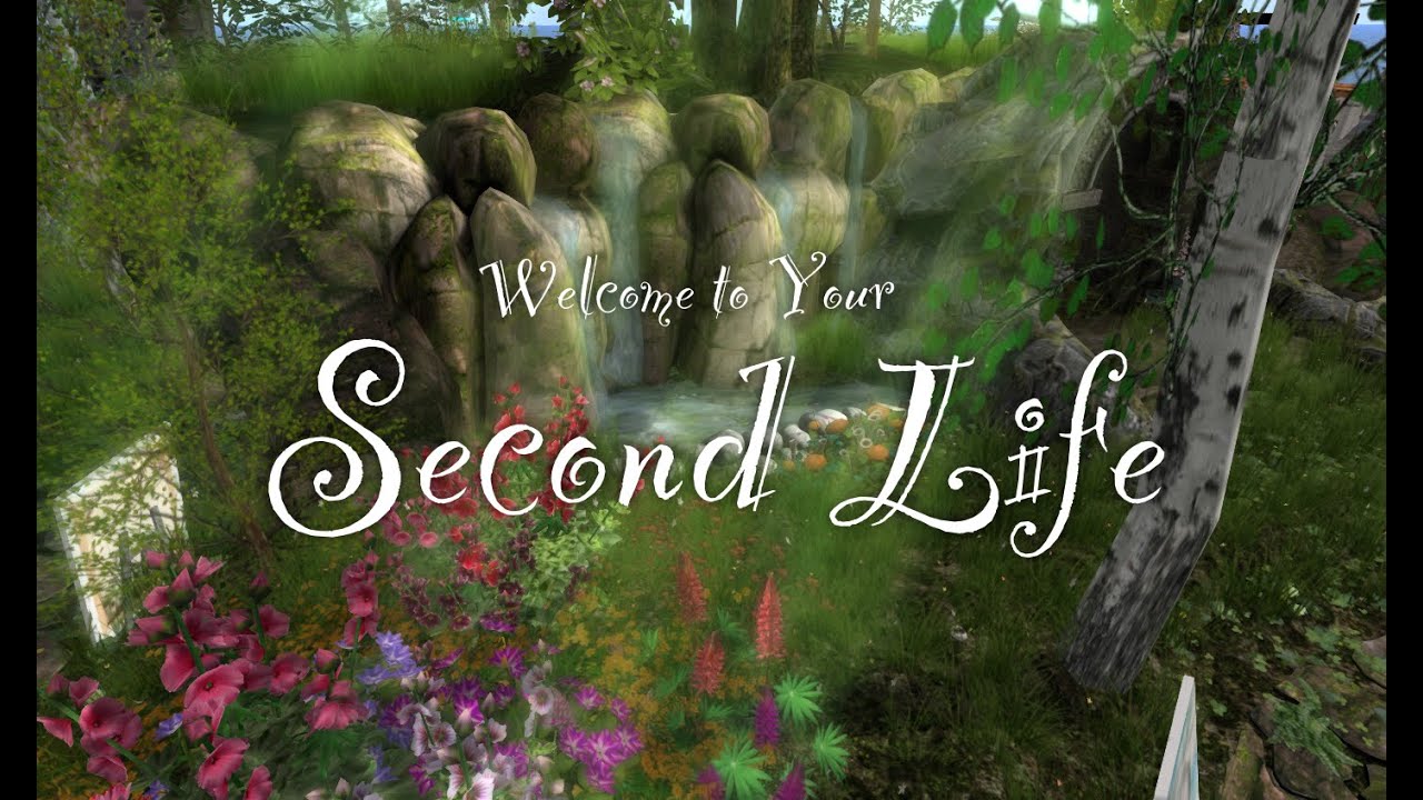 Welcome to Your Second Life!