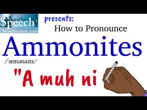 How to Pronounce Ammonites