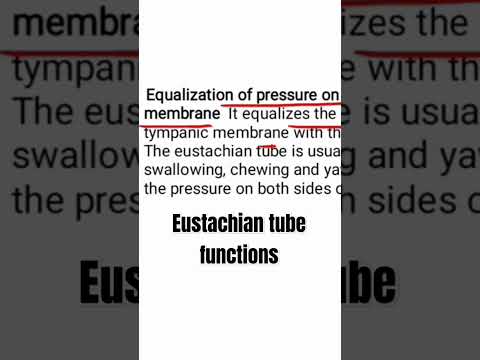 Eustachian tube functions