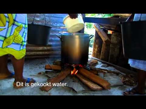 Podosiri – wassai – açai | BORRIA