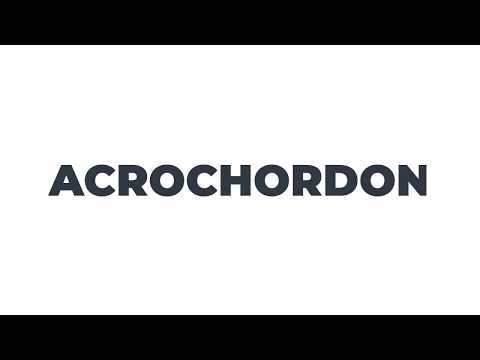 📢 How to pronounce ACROCHORDON