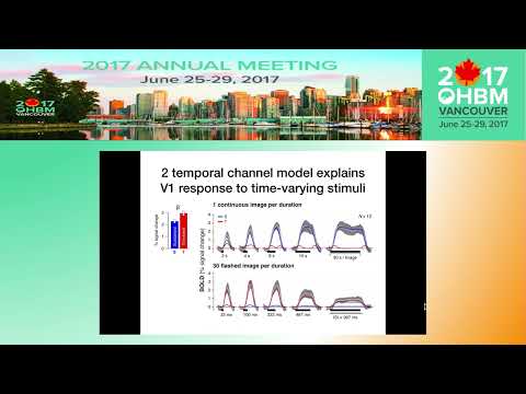 OHBM 2017 | Oral Session | Anthony Stigliani | Differential contributions of transient and sustain…