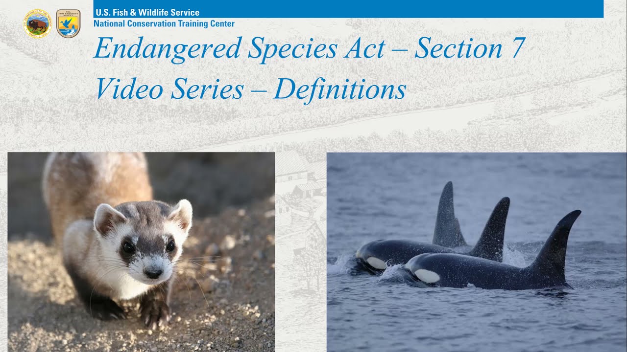 8 - Definitions Final