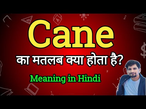 Cane Meaning in Hindi | Cane Ka Matlab kya Hota hai| English to Hindi dictionary