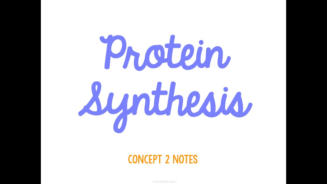 Unit 4 Genetics Concept 2 Notes *UPDATED*