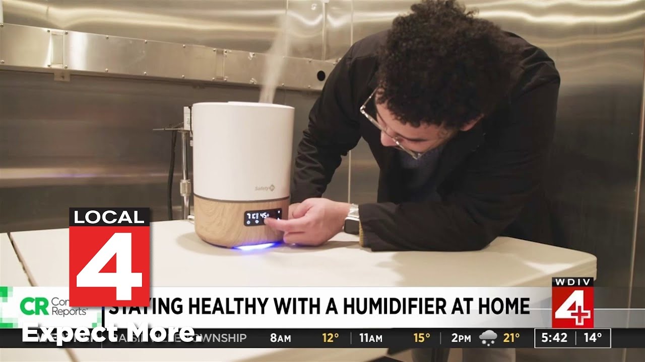 Which humidifier should you use? Here's what experts recommend