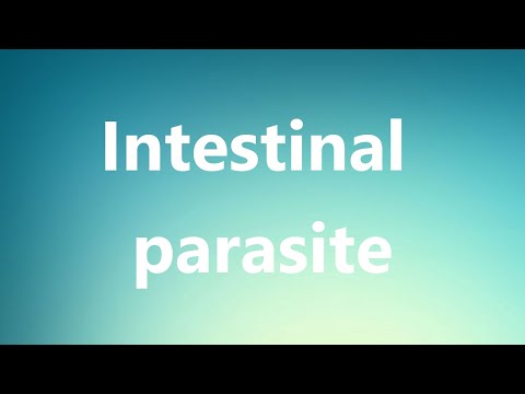 Intestinal parasite - Medical Meaning and Pronunciation