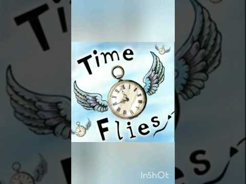 Time flies idiom meaning