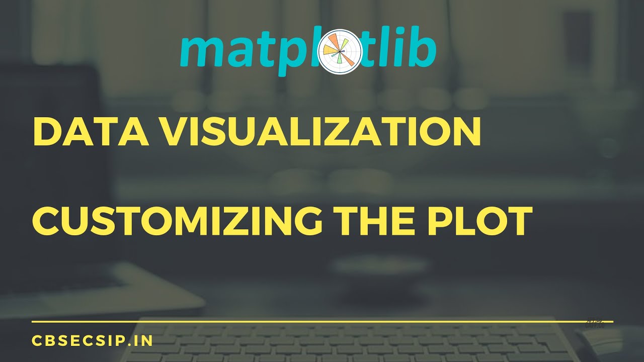 Data Visualization - Customizing the Plot || Class 12 Informatics Practices